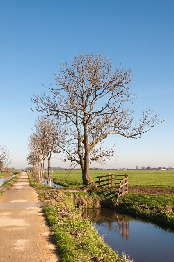 Narrow Road in a Polder Landscape Stock Image - Image of afternoon ...