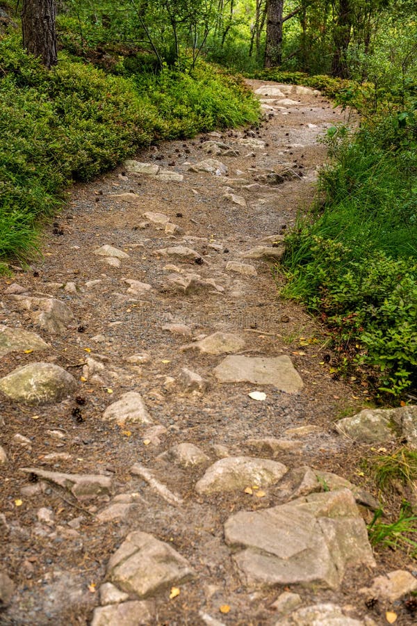 Narrow Rocky Walking Path through a Forest.. Stock Photo - Image of ...