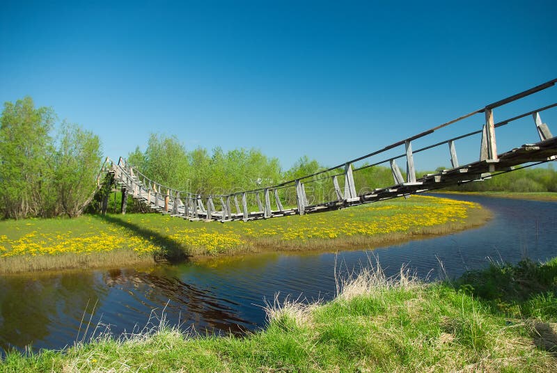 Narrow Rope Pedestrian Bridge Stock Photo - Image of leaves, outdated ...