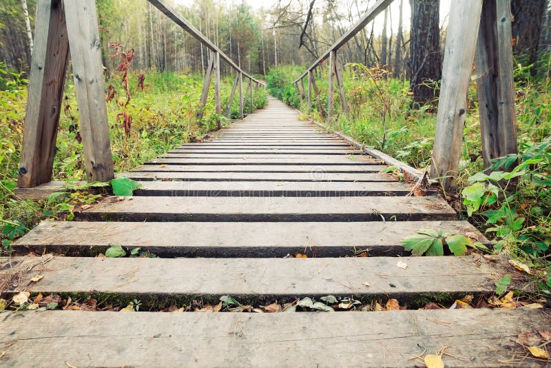 Narrow Rope Pedestrian Bridge Stock Image - Image of outdated, national ...