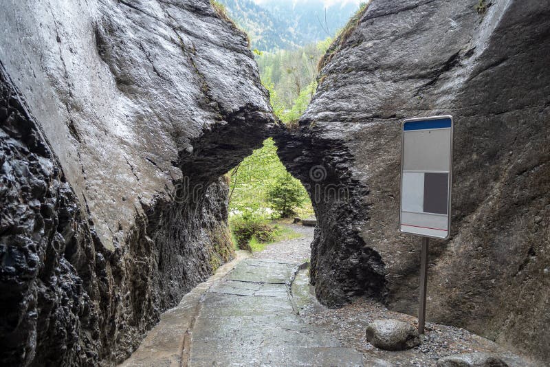 The Stone Wall Covered with Moss and Fern with Gravel Ground on Yellow ...
