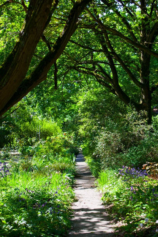 Straight, narrow path stock photo. Image of narrow, straight - 34695984