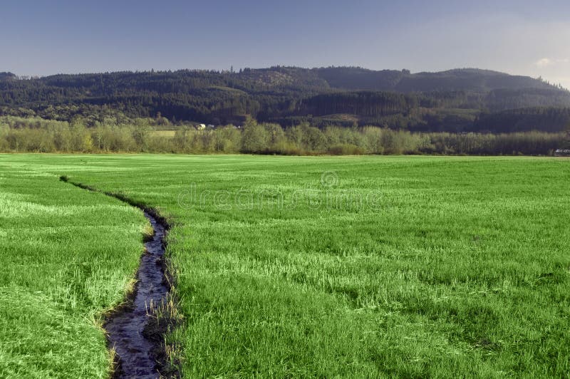 Narrow Stream stock photo. Image of agriculture, current - 13108220