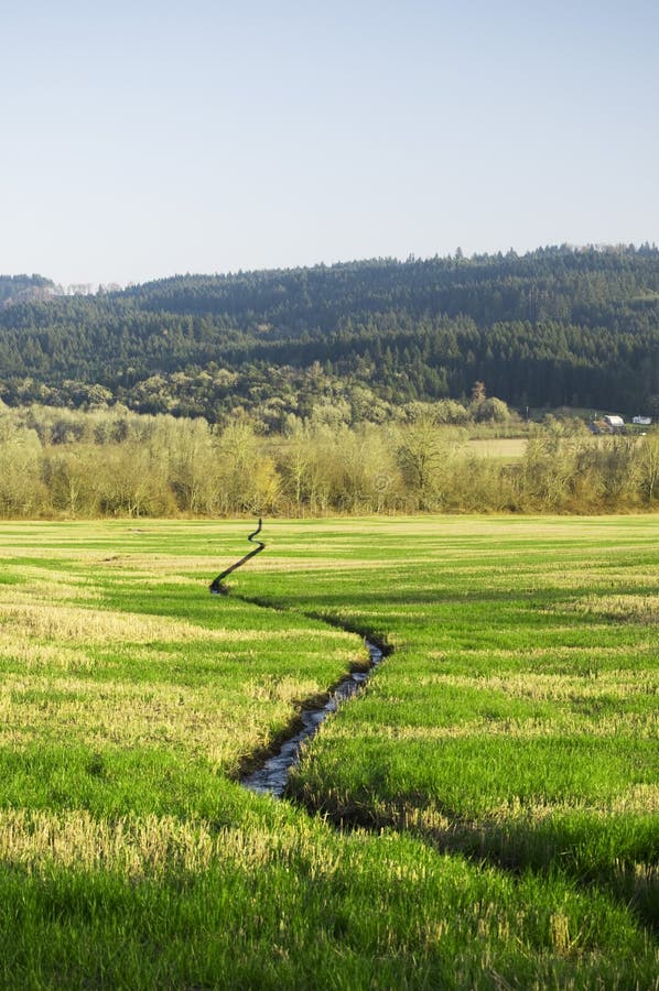 Narrow Stream stock image. Image of flood, creek, blue - 13475573