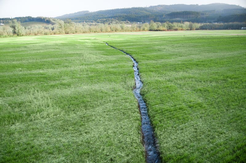 A Narrow Stream of Water in Maui, Hawaii Stock Image - Image of path ...