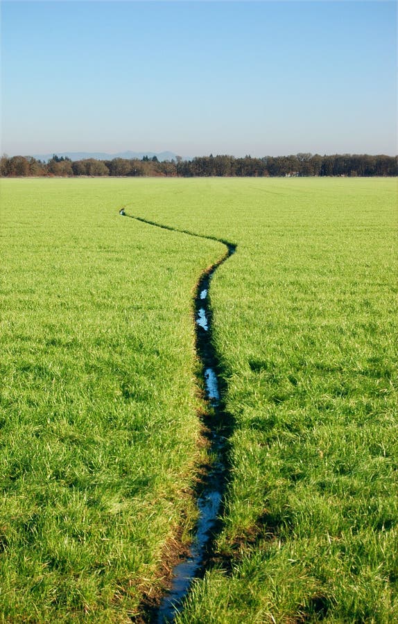 Narrow Stream Picture. Image: 7995458