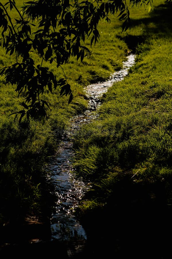 Narrow Stream Going through a Grass Field Stock Image - Image of ...