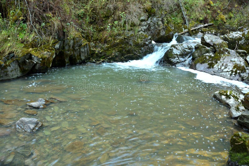 A Narrow Stream of a Mountain Brook Flows Down from the Mountains ...