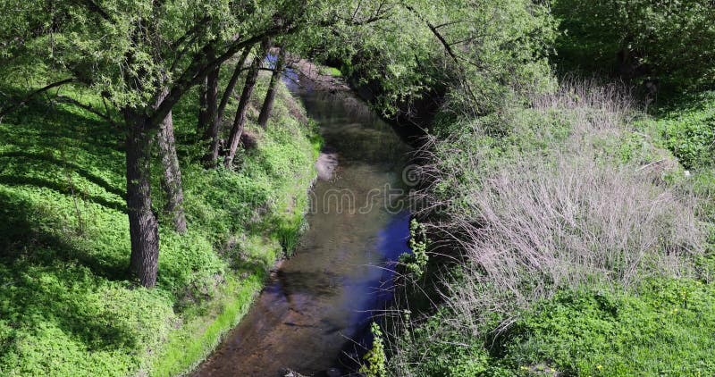 Narrow Stream with Rocks and Grass Stock Video Footage - Video of pour ...
