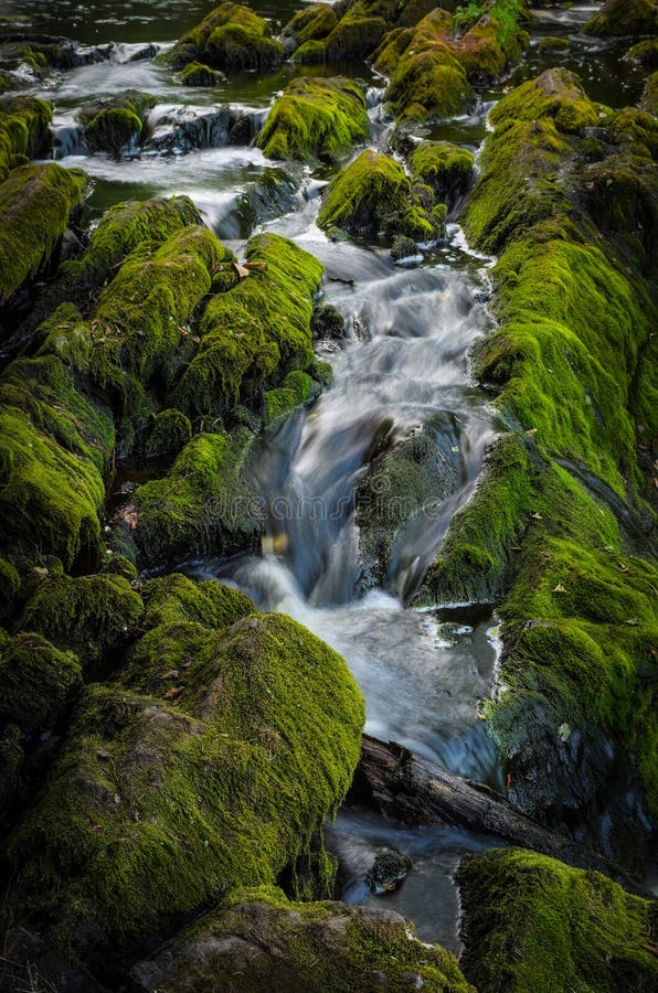 Narrow stream of waterfall stock image. Image of nature - 47581319