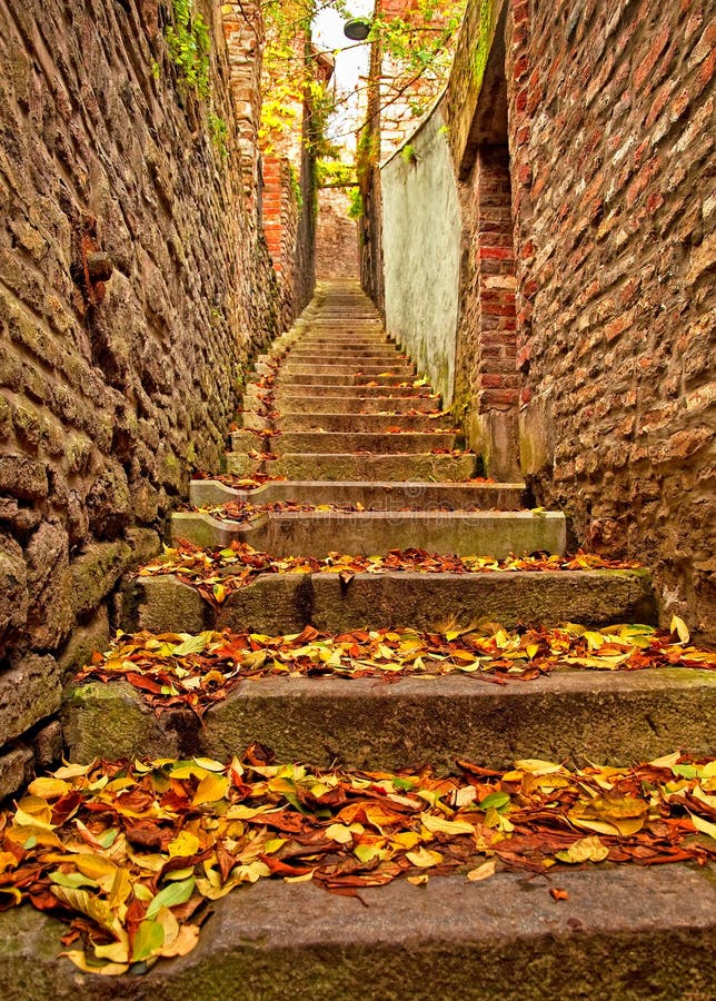 Narrow street stock photo. Image of city, paved, footpath - 67176340