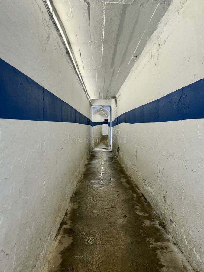 Narrow underground passage stock image. Image of symmetry - 369734521