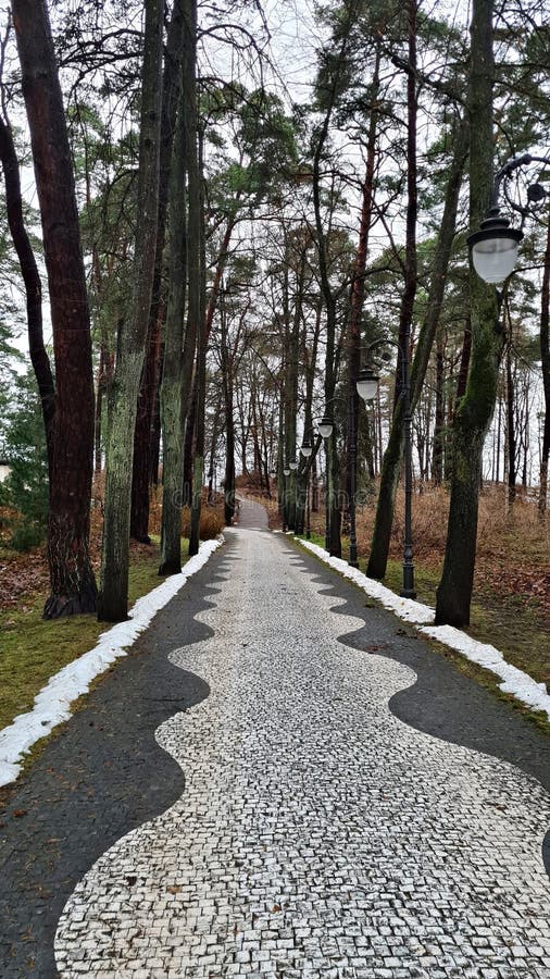 Narrow Walking Path Paved with Mosaics among the Trees on Cold Spring ...