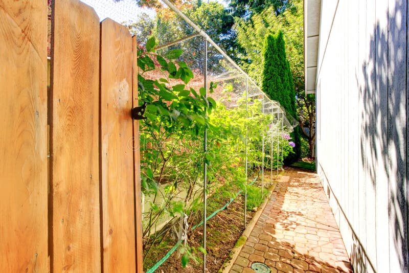 Narrow Walkway Behind the House Stock Image - Image of northwest, land ...