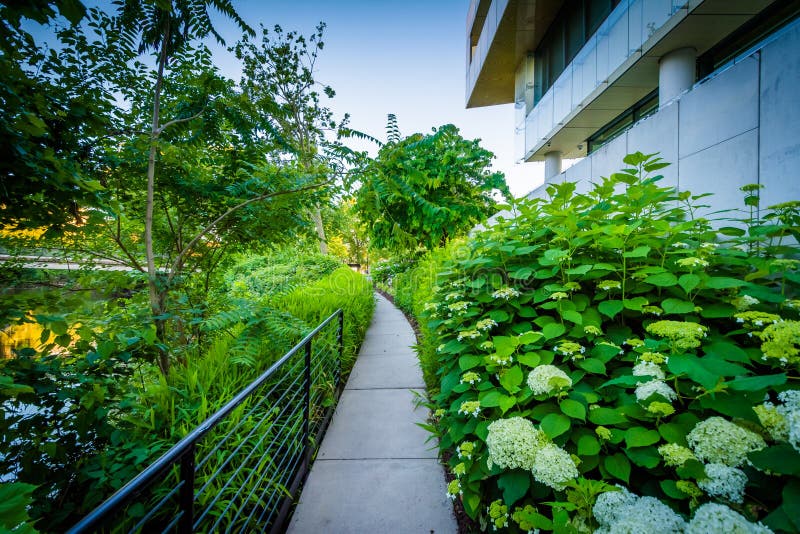 Narrow Walkway through Gardens in Georgetown, Washington, DC. Stock ...