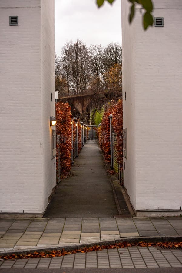 Narrow Walkway between Small Backyards.. Stock Image - Image of forest ...