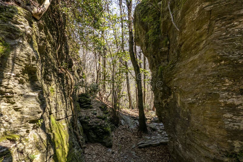 Narrow Way between Rocky Cliffs in a Forest with Trees and Rocks ...