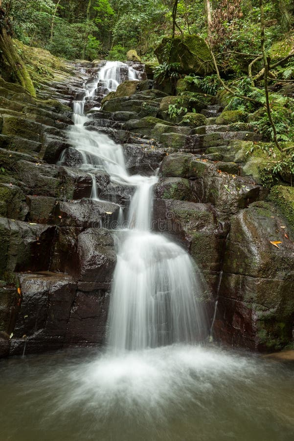 Narrow white cascade stock image. Image of leaf, waterfall - 169725399