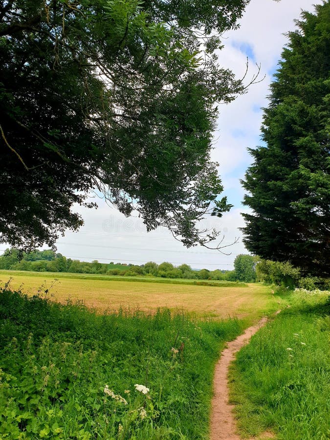 The Narrow Winding Countryside Path in Summertime Stock Photo - Image ...