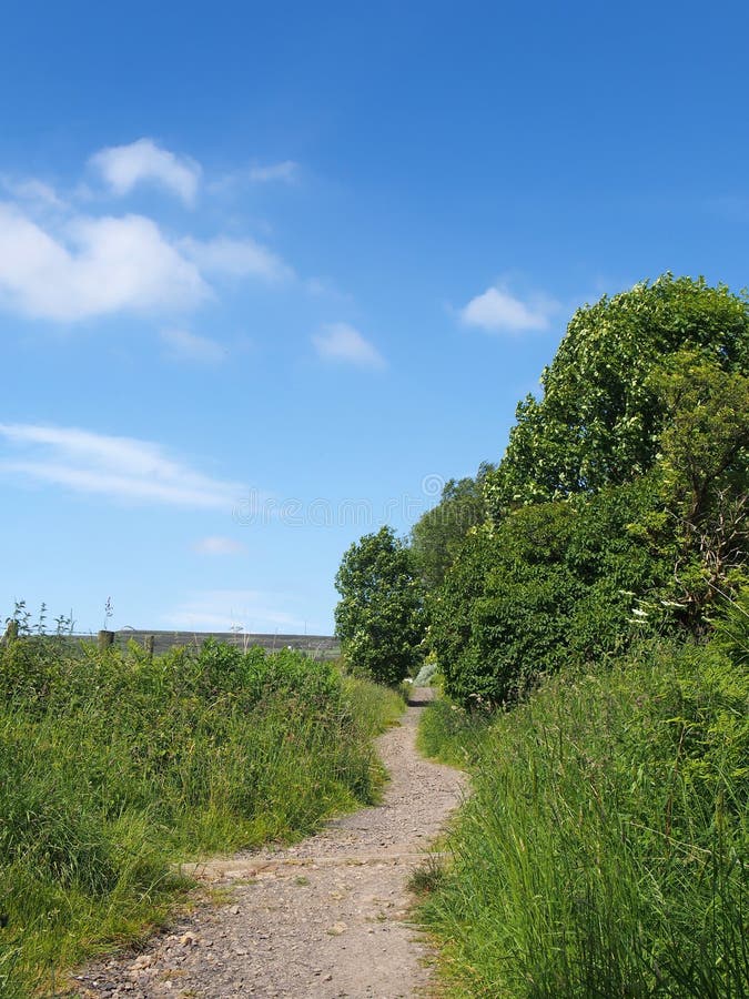 Narrow Winding Path through a Sunlit Meadow with Tall Grass with Summer ...