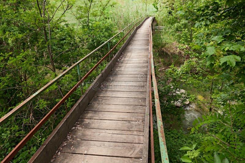 Narrow wooden bridge stock photo. Image of foot, narrow - 31612036