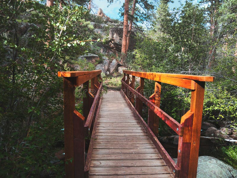 Narrow Wooden Bridge Over the Water Surrounded by Trees Stock Photo ...