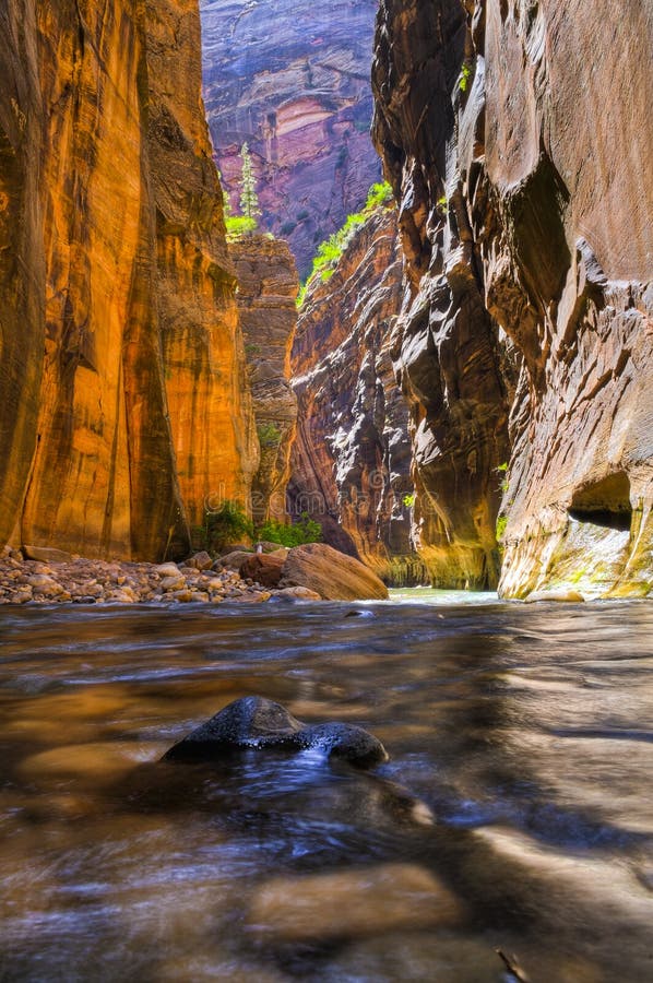The Narrows, Zion National Park, Utah Stock Image - Image of narrows ...