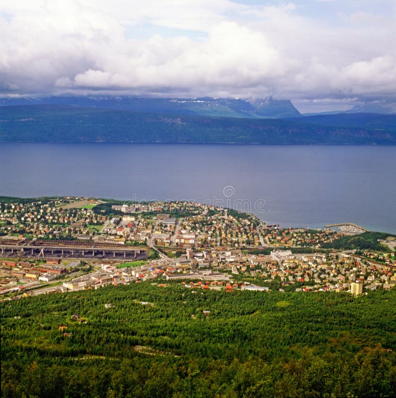 Narvik, Norway stock image. Image of town, europe, flora - 334423263