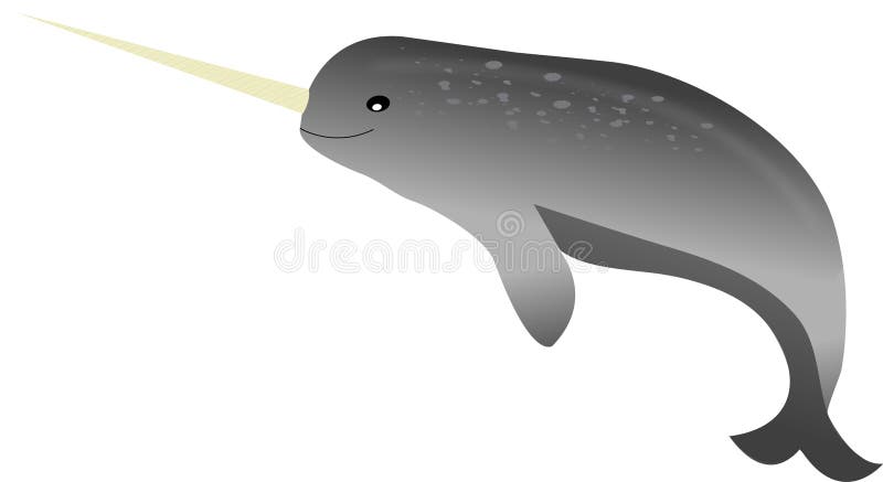 De Walvis Van De Monoceroseenhoorn Van Monodon Van De Narwal Stock ...