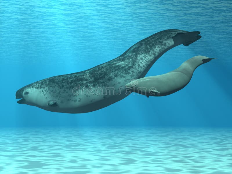 Narwal stock illustratie. Illustration of fauna, nathalie - 9735208