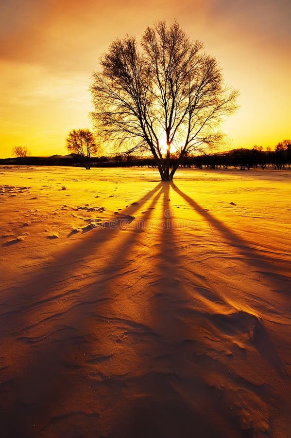 Nascer do sol foto de stock. Imagem de porcelana, ecologia - 14553268