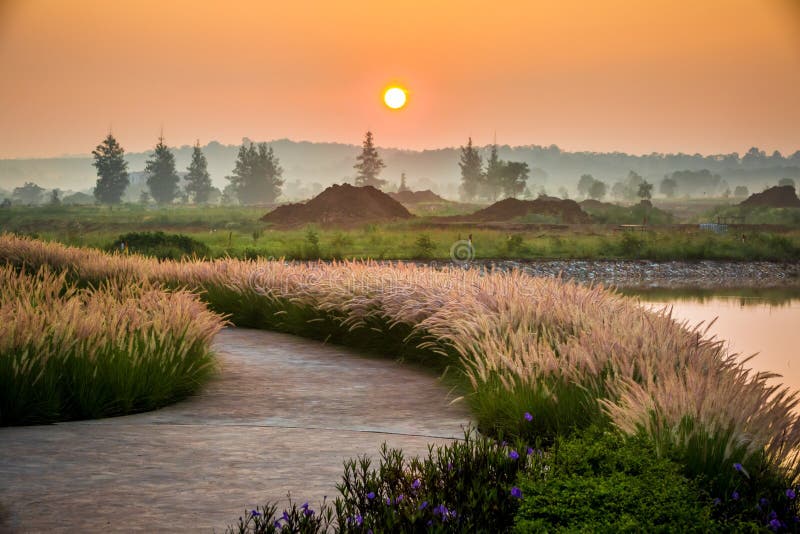 Nascer do sol bonito imagem de stock. Imagem de montanha - 61829197