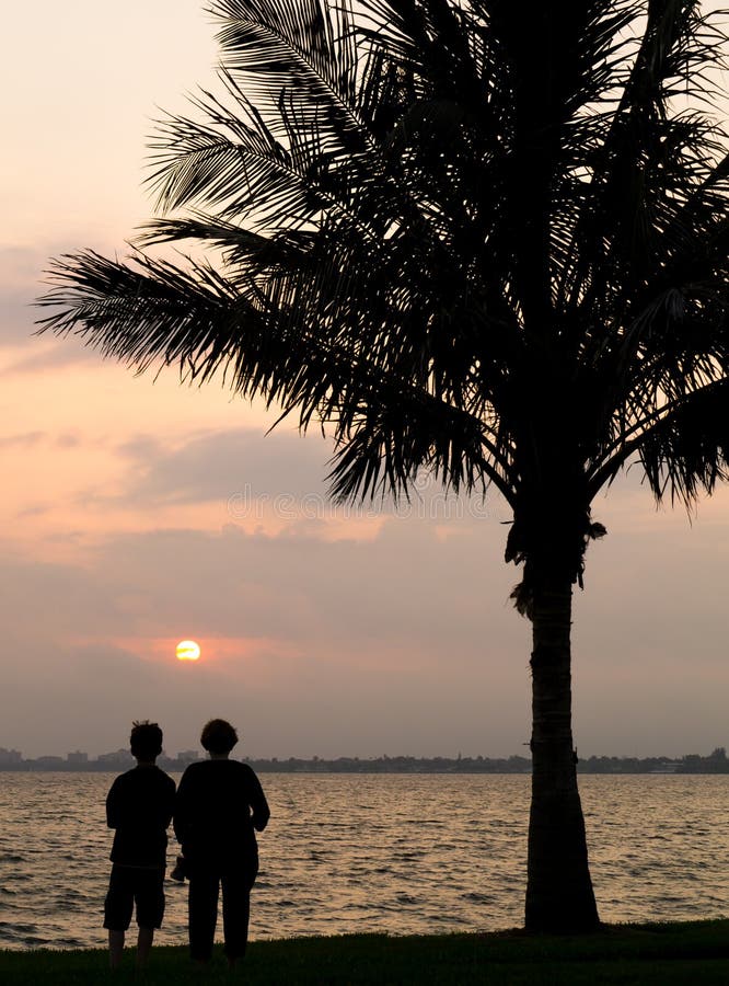 Nascer Do Sol De Florida Sobre O Pantanal Foto de Stock - Imagem de ...