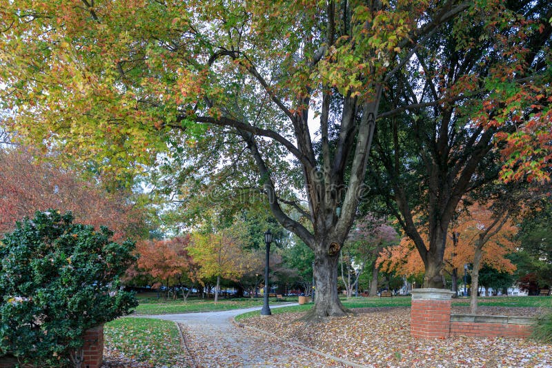 Nash Square in Downtown Raleigh Stock Photo - Image of nature, nash ...