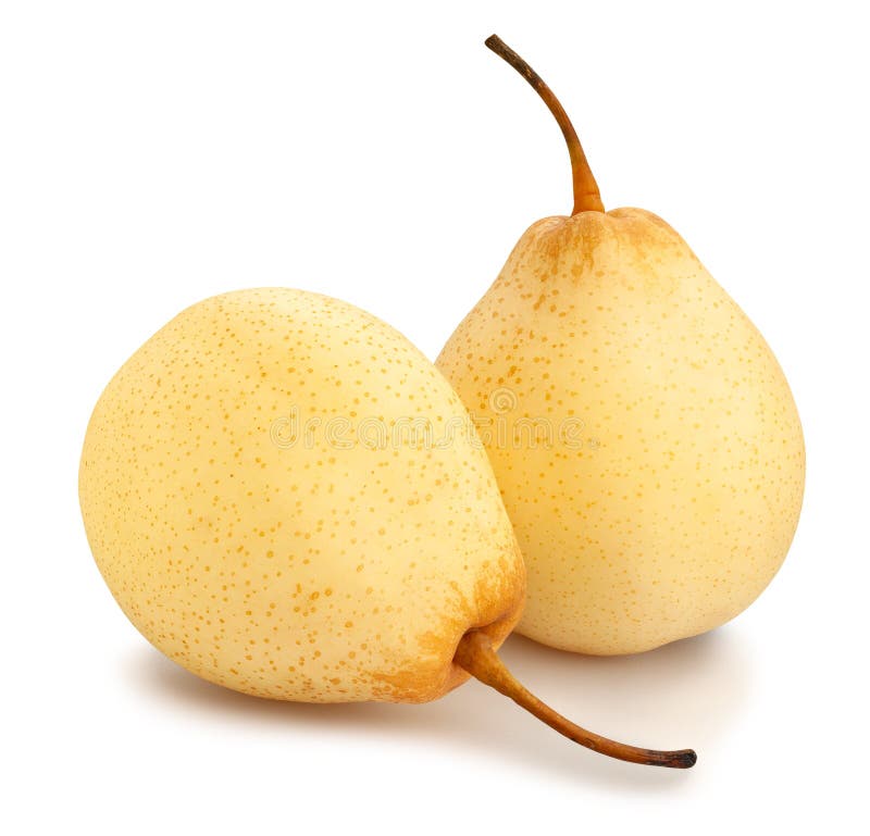 Nashi pear stock image. Image of japanese, dessert, oriental - 138859409 Nashi pear stock image. Image of japanese, dessert, oriental - 138859409