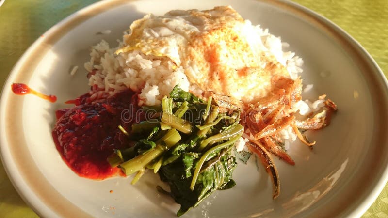 Nasi Lemak And Fried Egg Stock Image Image Of Malaysia 115699047