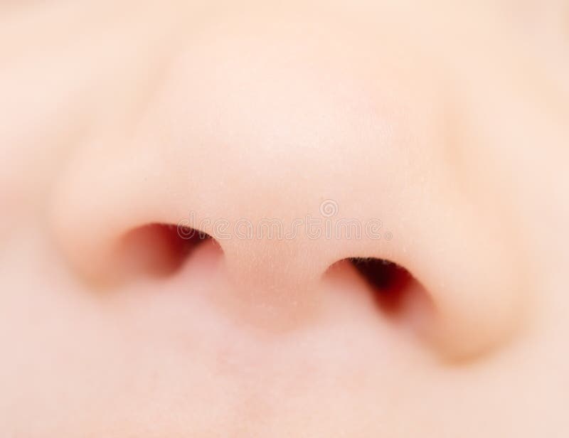 Naso del bambino immagine stock. Immagine di narice, macro - 43799005