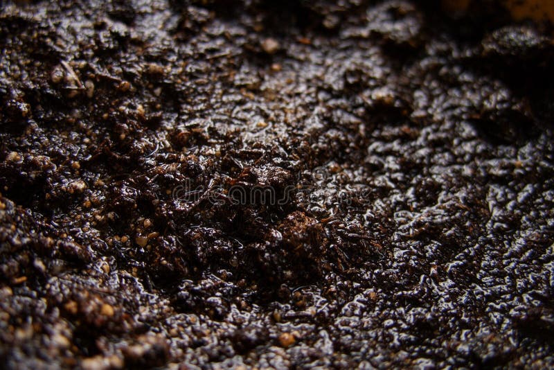 Nasser Boden in Einem Topf, Nahaufnahme Stockbild - Bild von masse ...