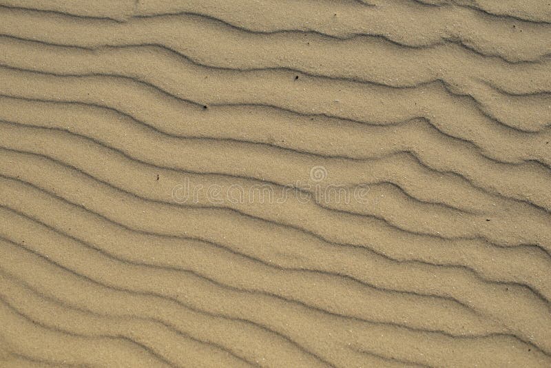 Nasser Sand auf der Ostsee stockfoto. Bild von dünen - 131254290