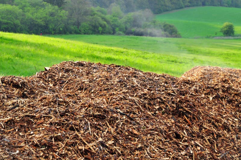 Natürliche Biomasse Der Laubdecke Stockfoto - Bild von organisch, chips ...