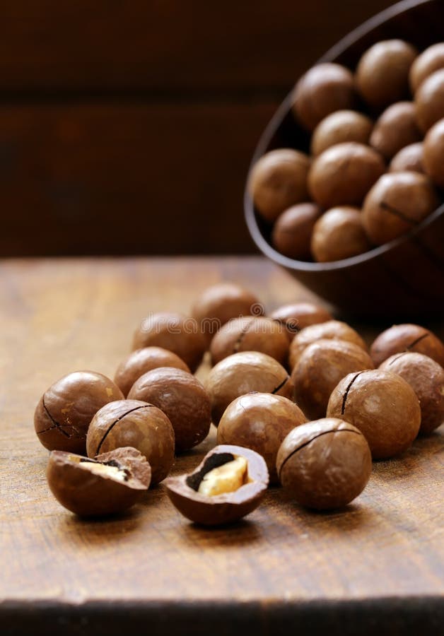Natural Macadamia Tree Nuts in Shell and Husk Stockbild - Bild von ...