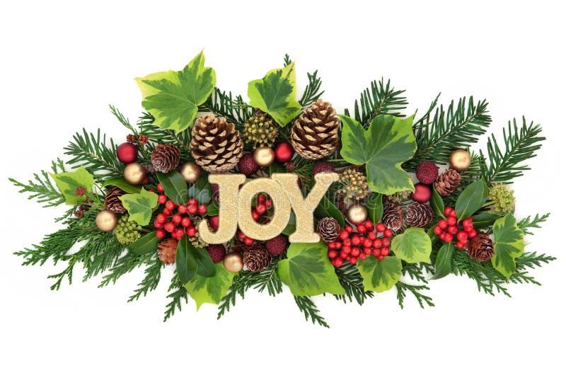 Natale Joy Decorative Display Immagine Stock - Immagine di saluto ...