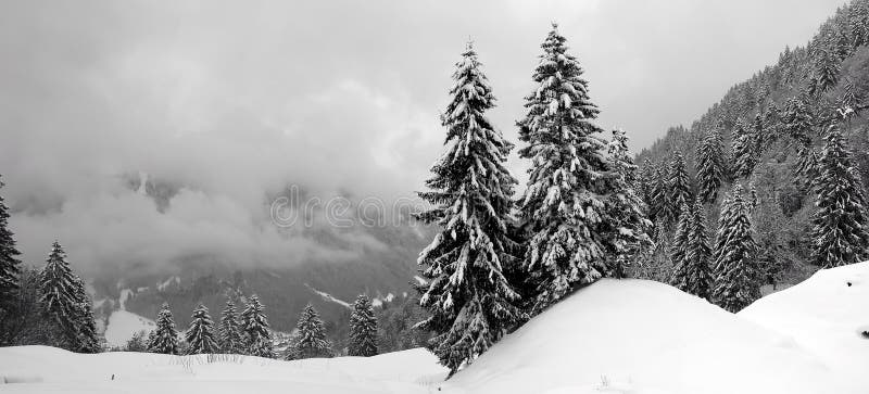 Immagine della neve immagine stock. Immagine di immagine - 29730019