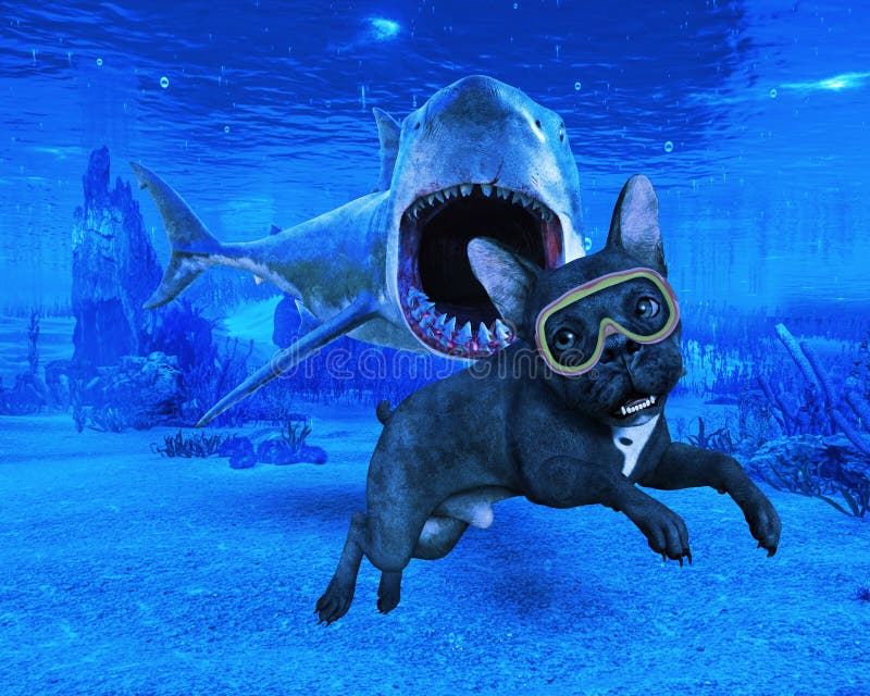Natation De Chien, Attaque De Requin, Danger Illustration Stock ...