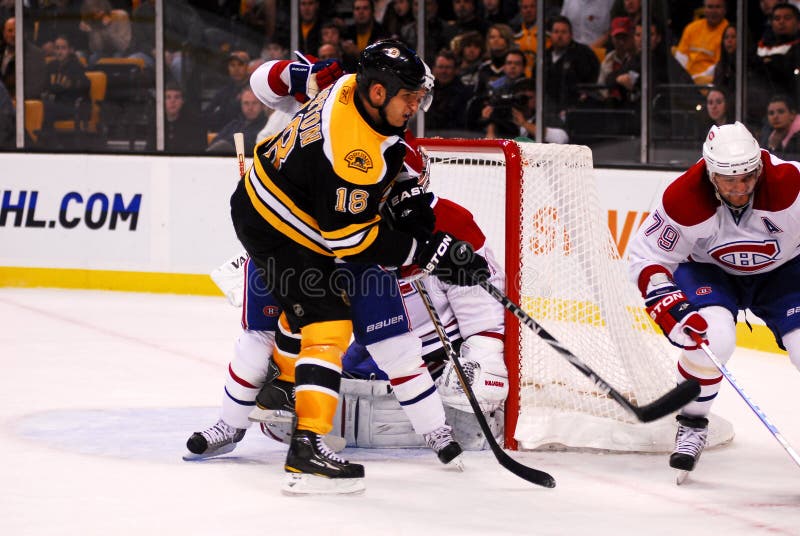 Nathan Horton Boston Bruins Editorial Photography - Image of national ...