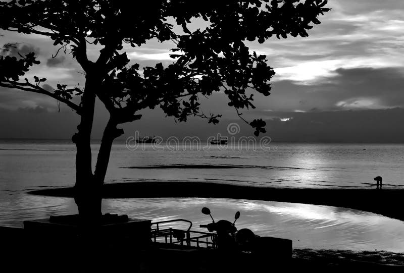 Nathon stock photo. Image of fiery, beach, sunrise, tourist - 12039456