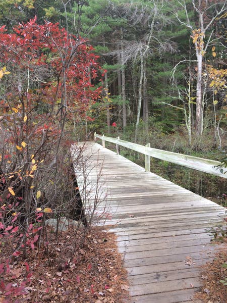 Natick Nature Trail stock photo. Image of nature, trail - 80408374