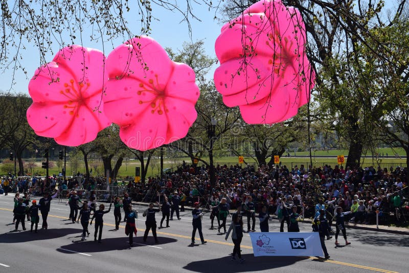 637 Cherry Cycle Tree Stock Photos - Free & Royalty-Free Stock Photos ...