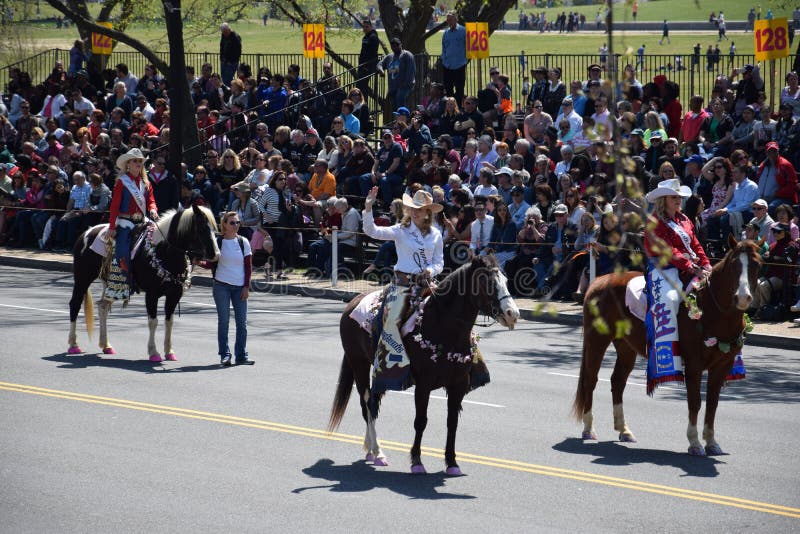 2016 National Cherry Blossom Parade in Washington DC Editorial Stock ...
