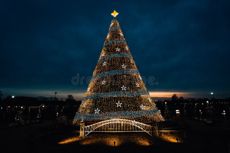 The National Christmas Tree at Night, in Washington, DC Stock Image ...